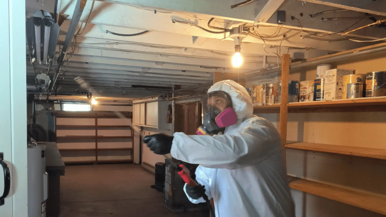 Mold Remediation In Connecticut - CT Mold Pros