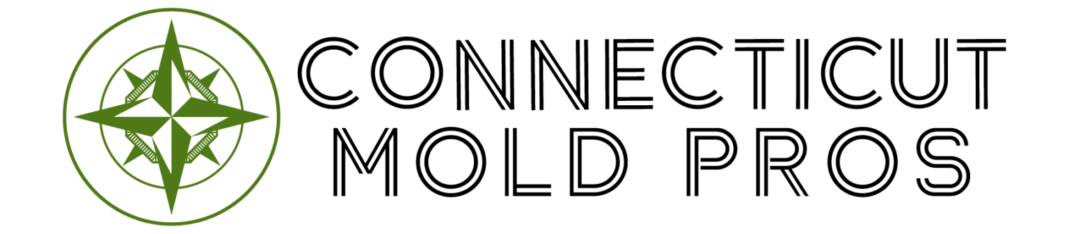 Mold Remediation In Connecticut - CT Mold Pros